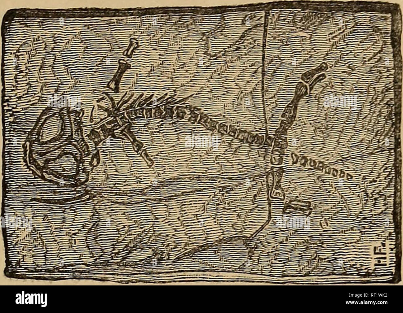 . Catalogue of the fossil Reptilia and Amphibia in the British Museum ...