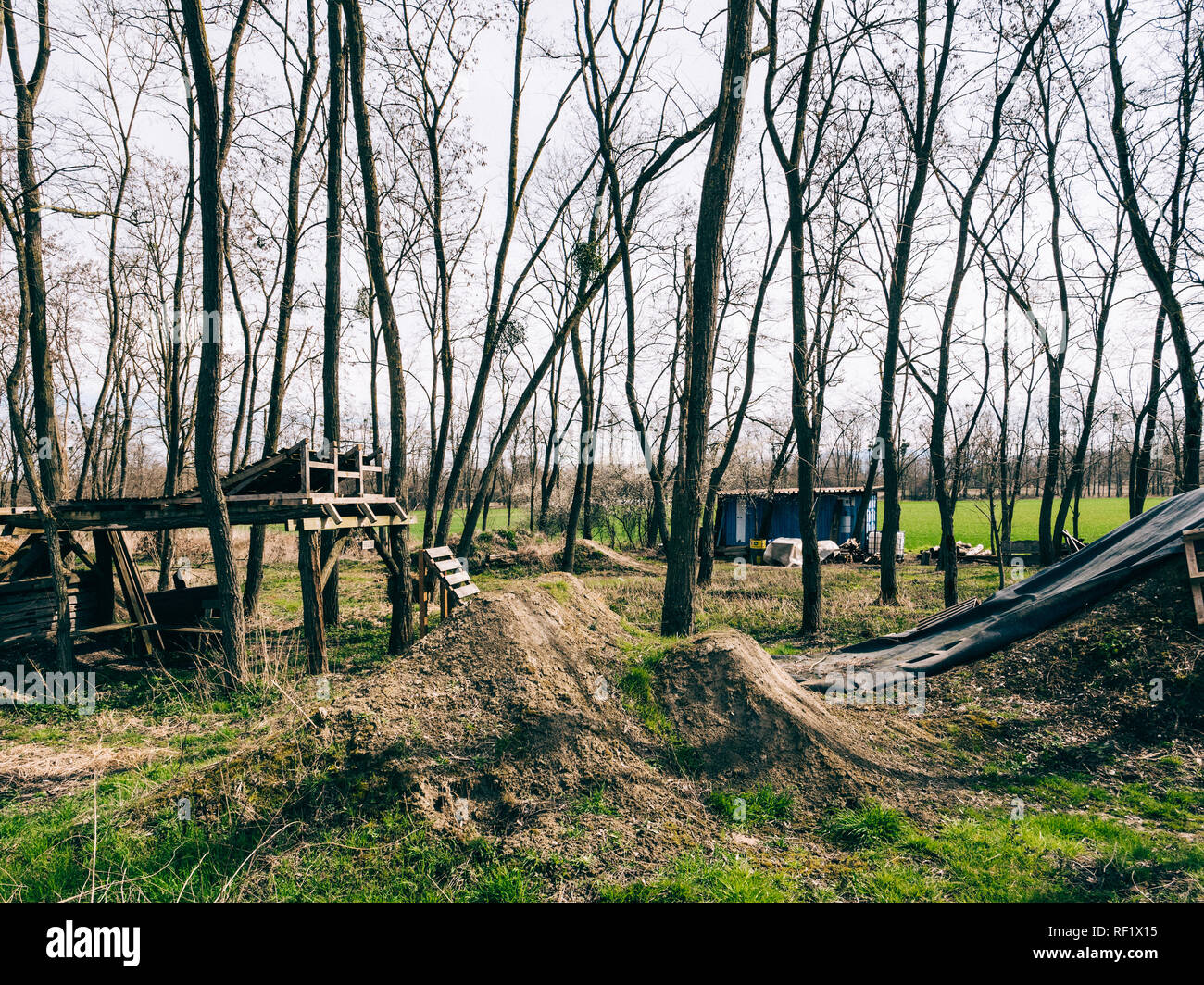 Mountain bike mtb circuit path empty in forest with diverse obstacles ...