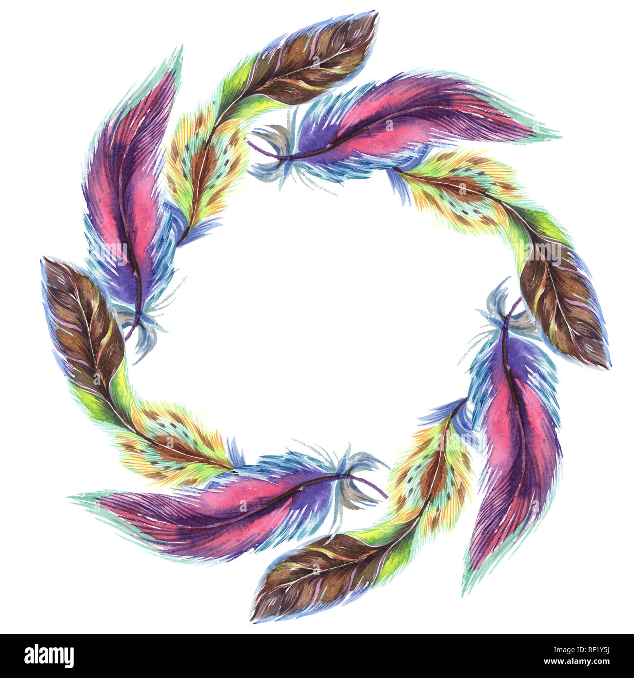 Colorful feathers. Watercolor bird feather from wing isolated ...