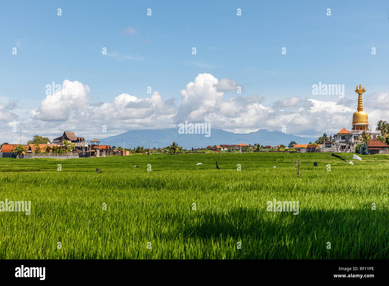 Rice fields, houses of Balinese village, clouds, golden stupa. Rural ...