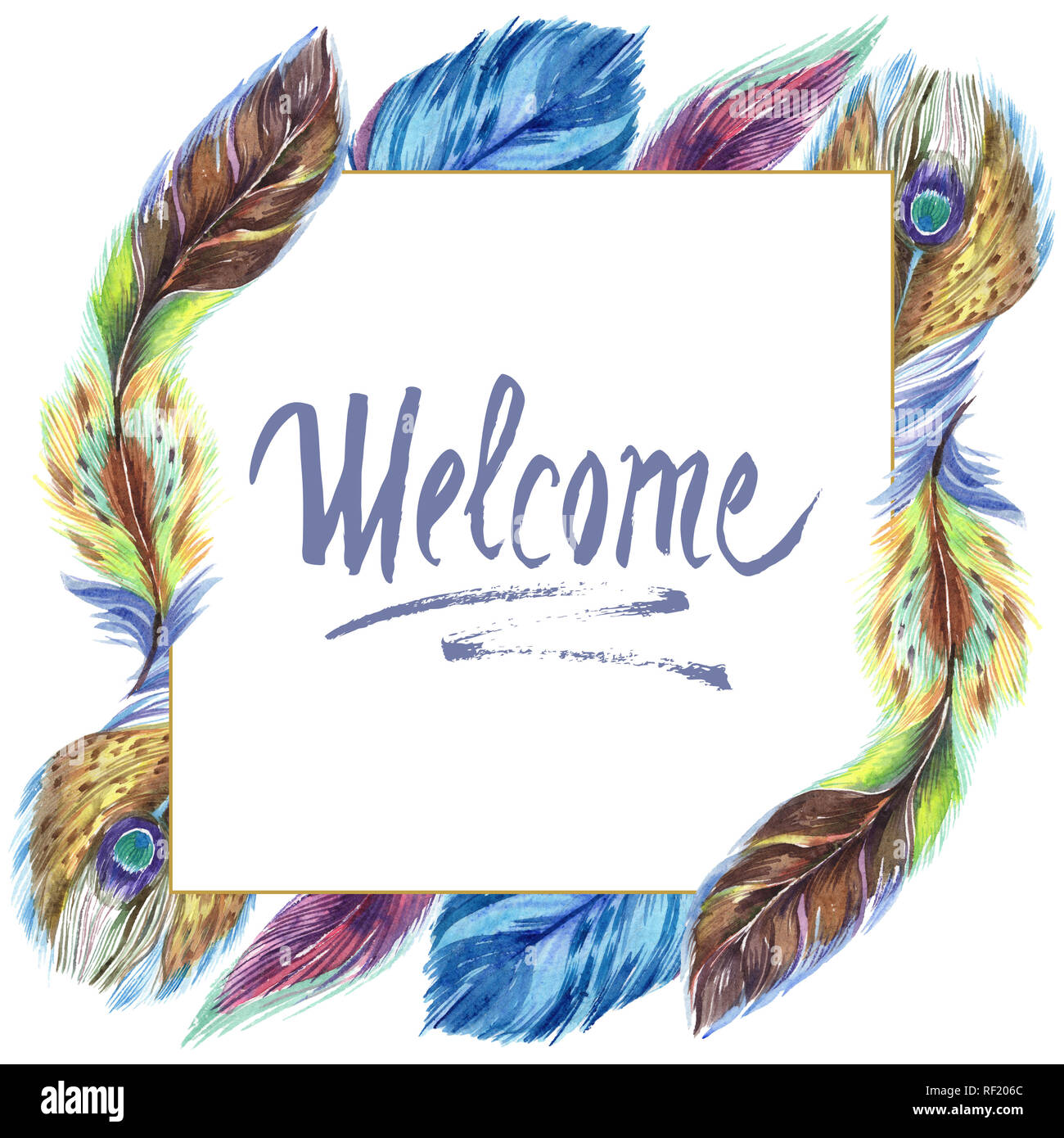 Colorful feathers. Watercolor bird feather from wing isolated ...