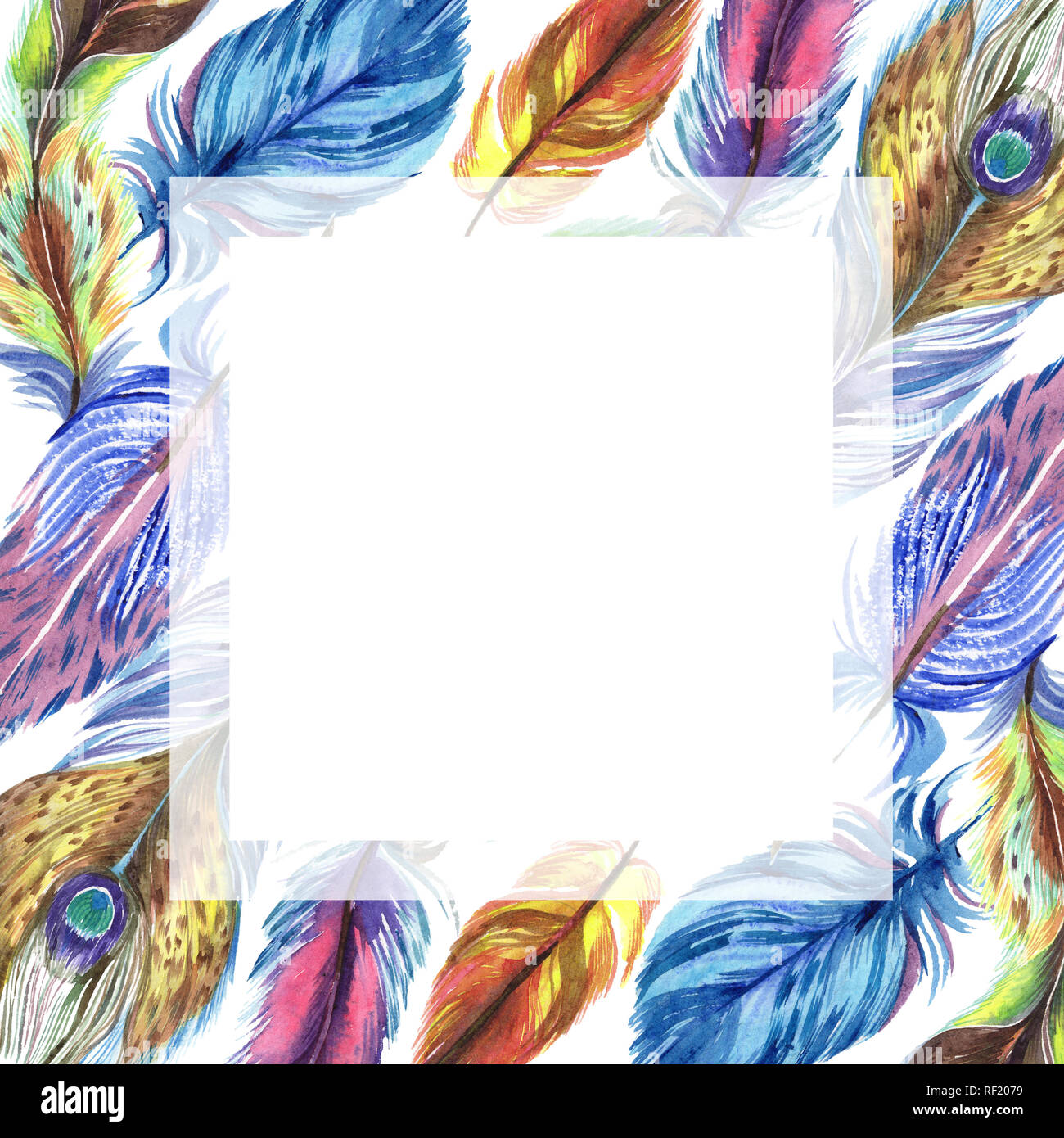 Colorful Feathers Watercolor Bird Feather From Wing Isolated
