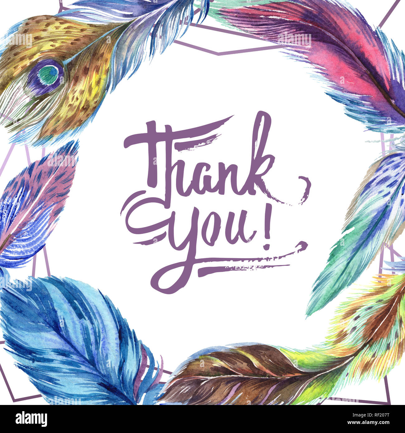 Colorful feathers. Watercolor bird feather from wing isolated ...