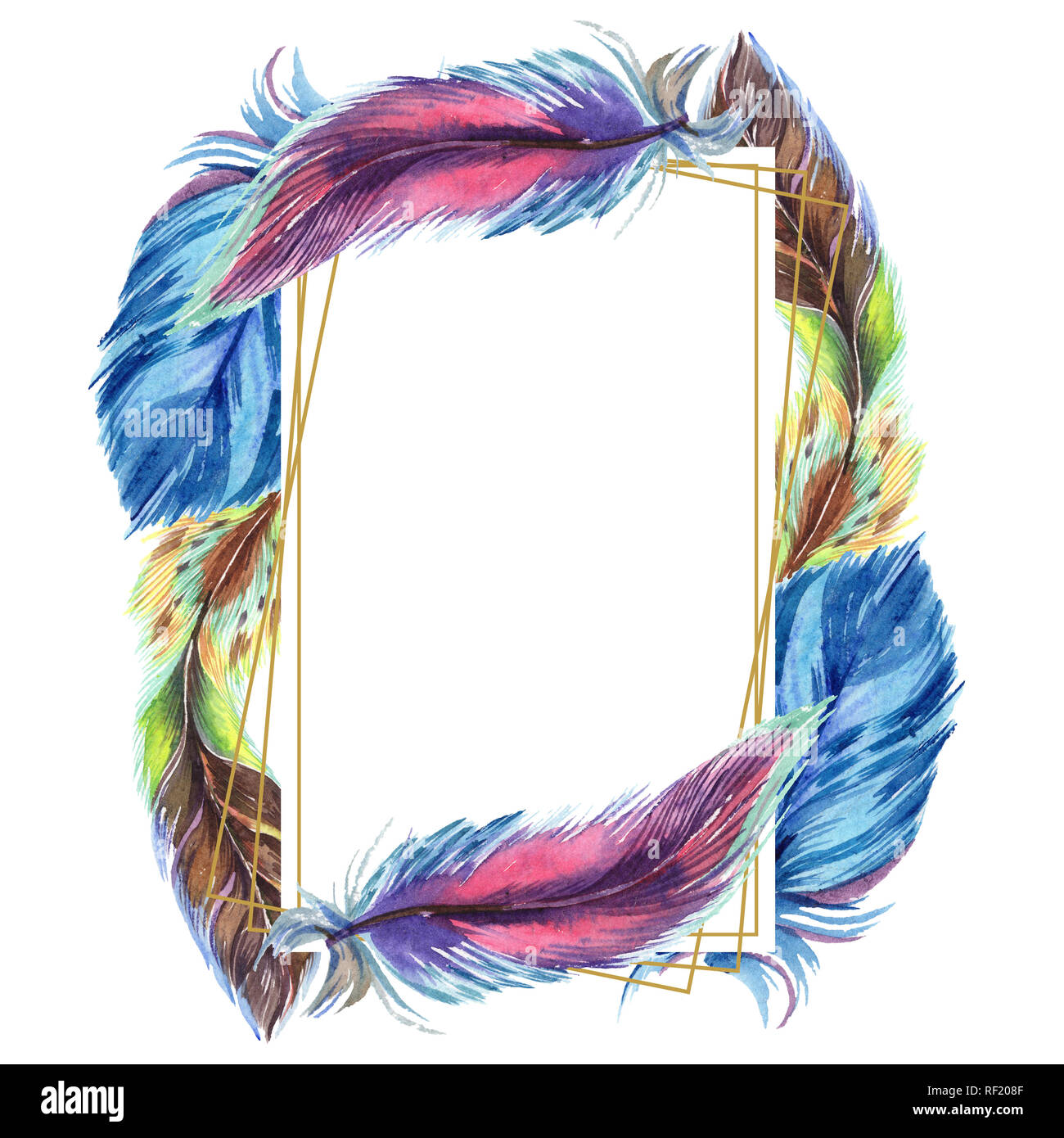 Colorful feathers. Watercolor bird feather from wing isolated ...