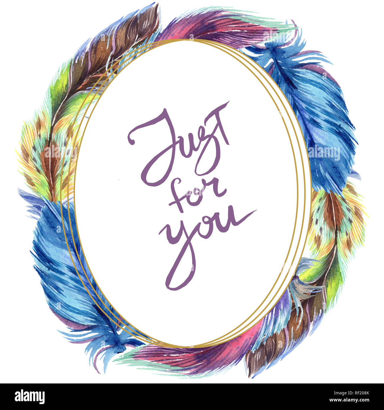 Colorful feathers. Watercolor bird feather from wing isolated ...