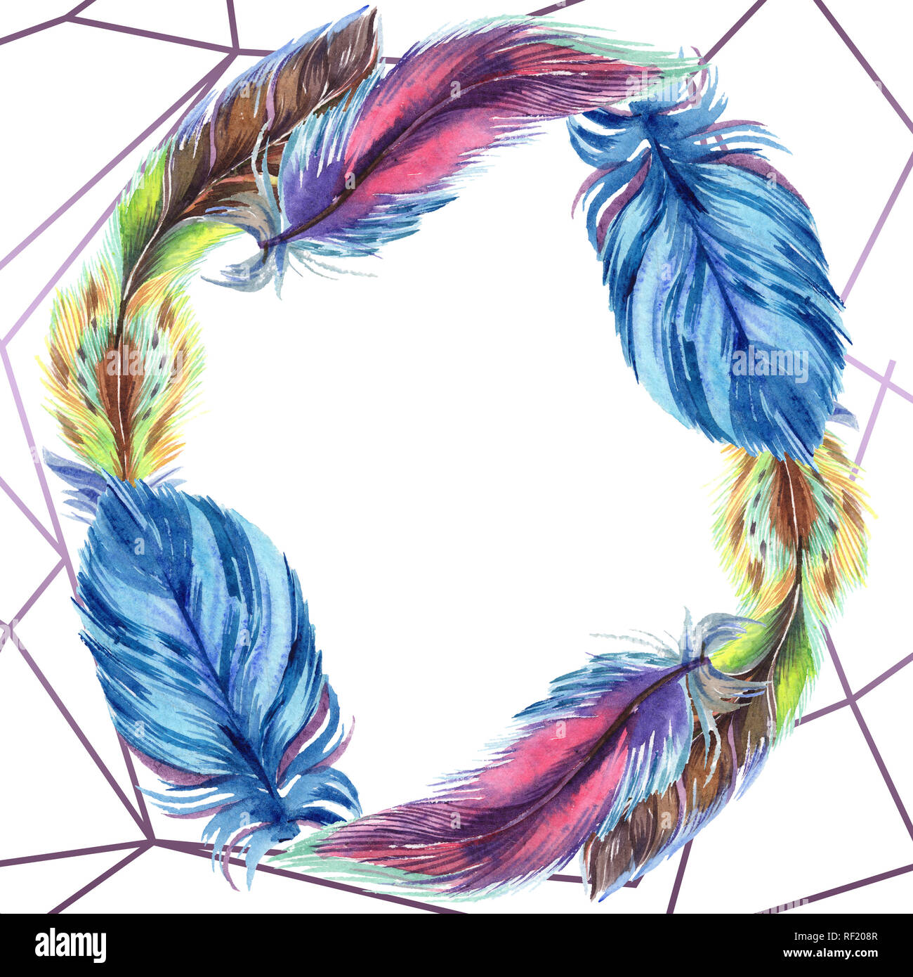 Colorful feathers. Watercolor bird feather from wing isolated ...