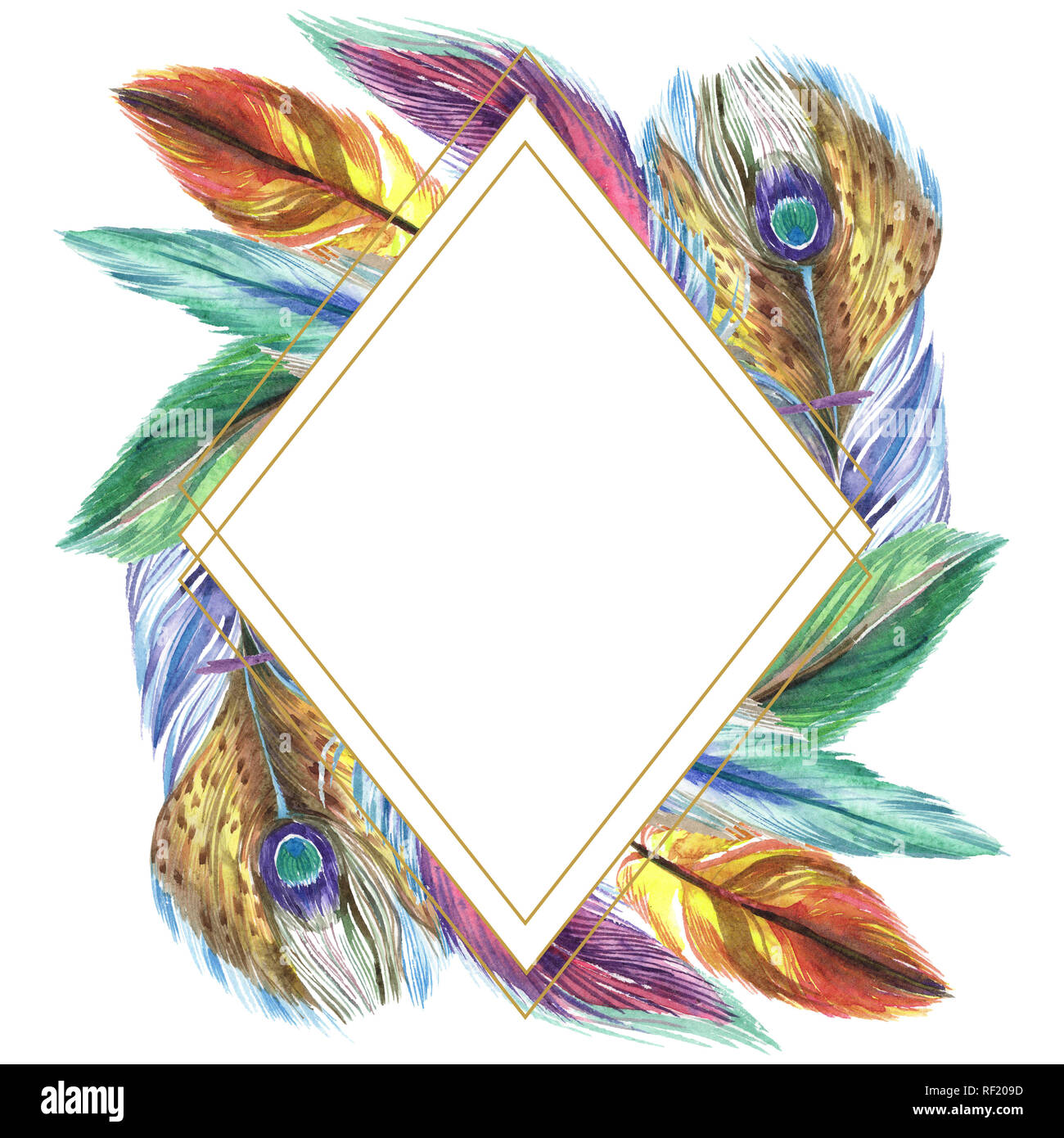 Colorful feathers. Watercolor bird feather from wing isolated ...