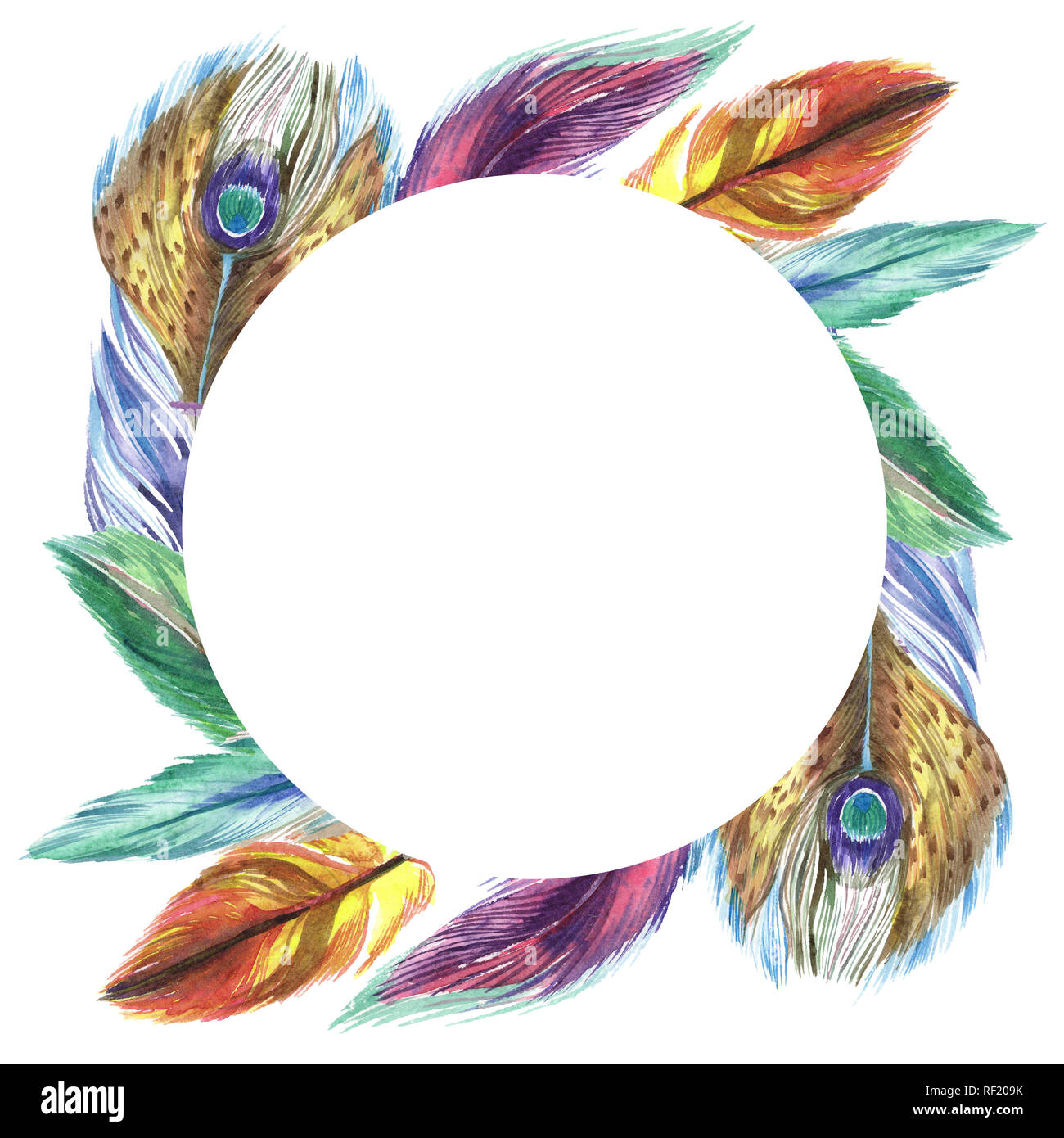 Colorful feathers. Watercolor bird feather from wing isolated ...