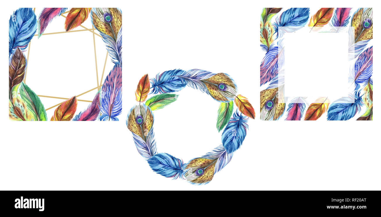 Colorful feathers. Watercolor bird feather from wing isolated ...