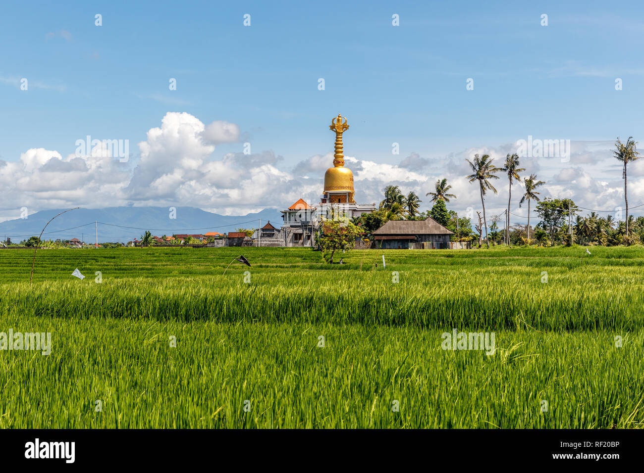 Rice fields, houses of Balinese village, clouds, golden stupa. Rural ...