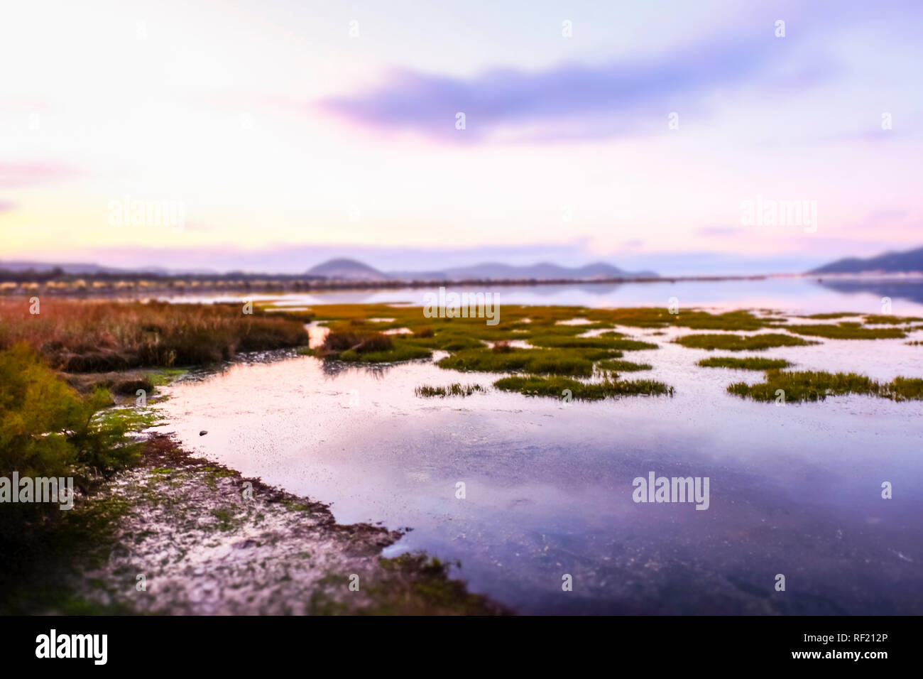 Salt marshes landscape Stock Photo - Alamy