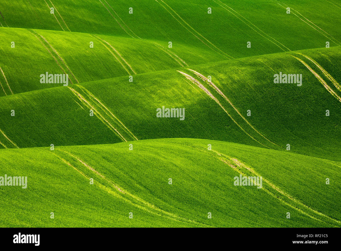 sunset lines and waves in the spring Stock Photo - Alamy