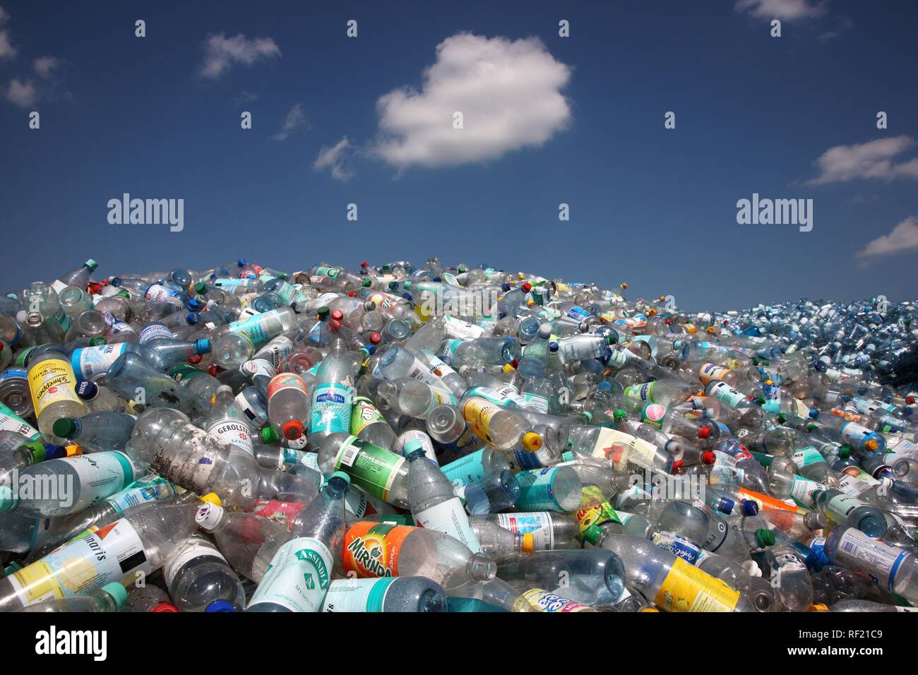 Plastic recycling, PET bottles and plastic rubbish are shredded and ...