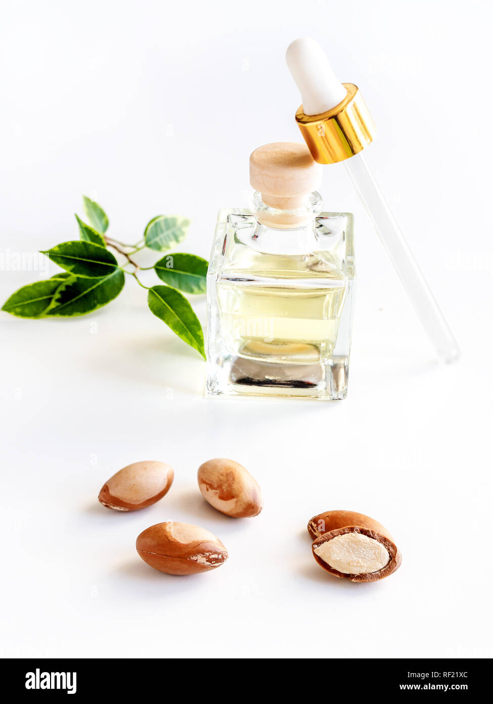 Bottle with oil argan nuts. Cosmetic means. Food product. Jar with ...