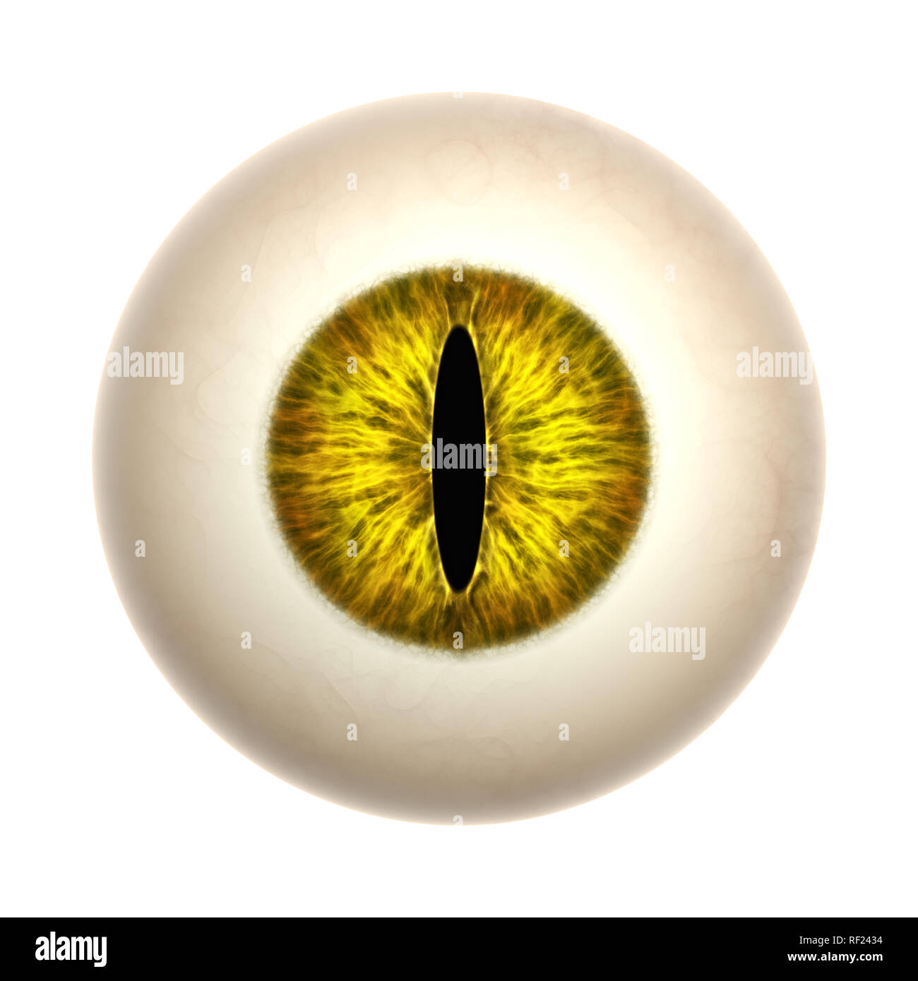 An illustration of a nice yellow cat eye texture Stock Photo - Alamy