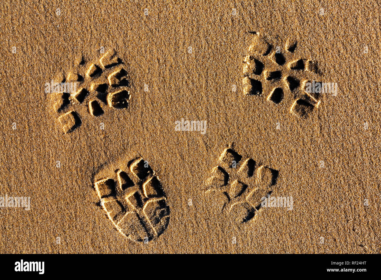 Boot print in the sand Stock Photo - Alamy