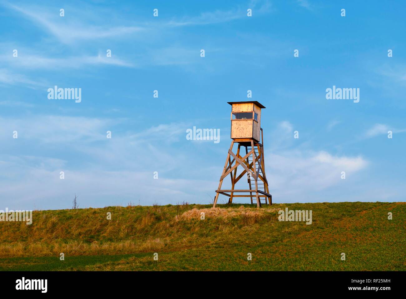 Hunt seat hi-res stock photography and images - Alamy