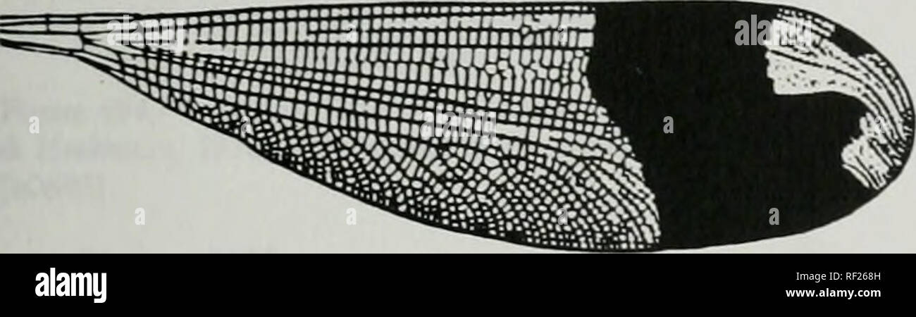 . Catalogue of the family-group, genus-group and species-group names of ...