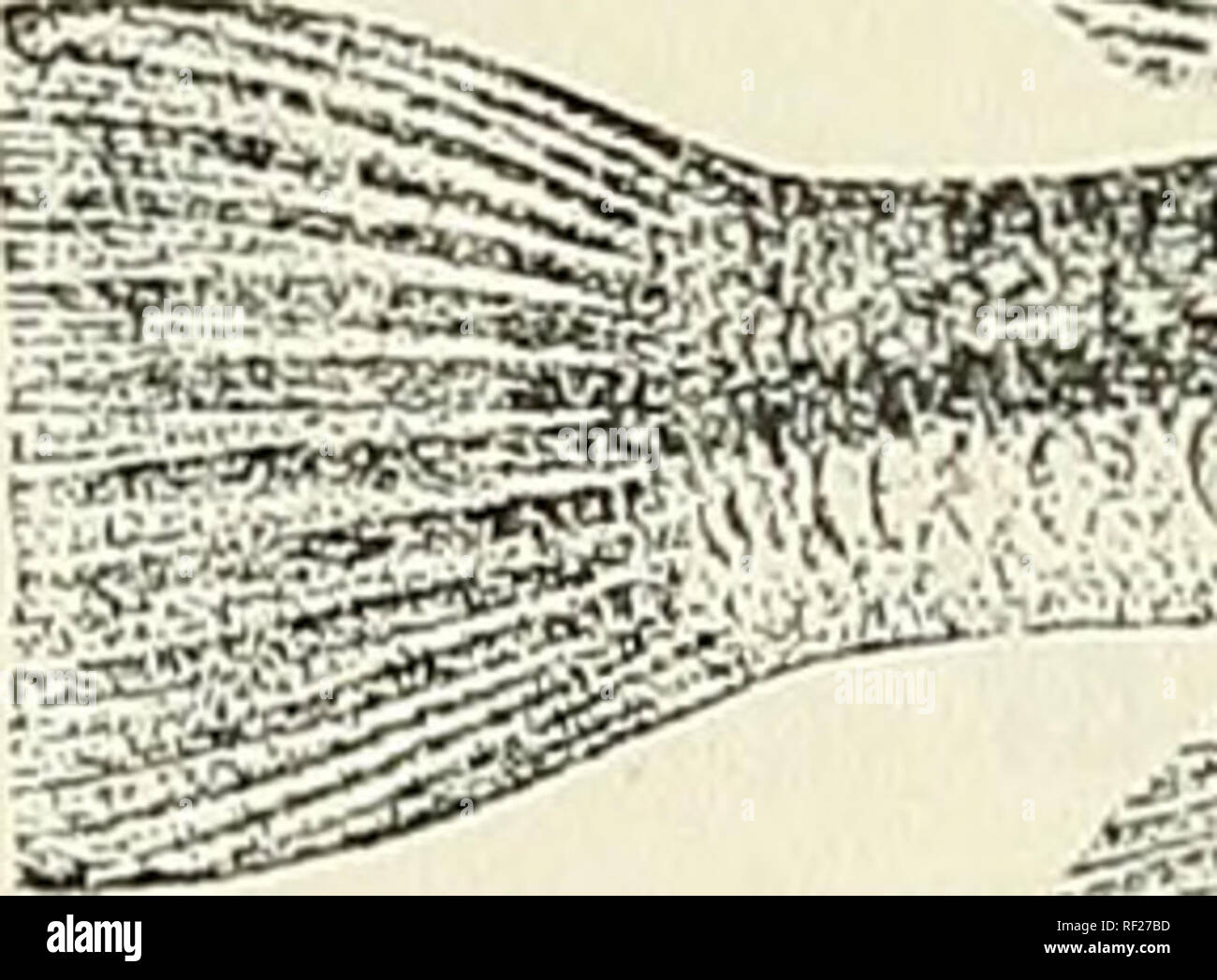 Deepest freshwater body hi-res stock photography and images - Alamy