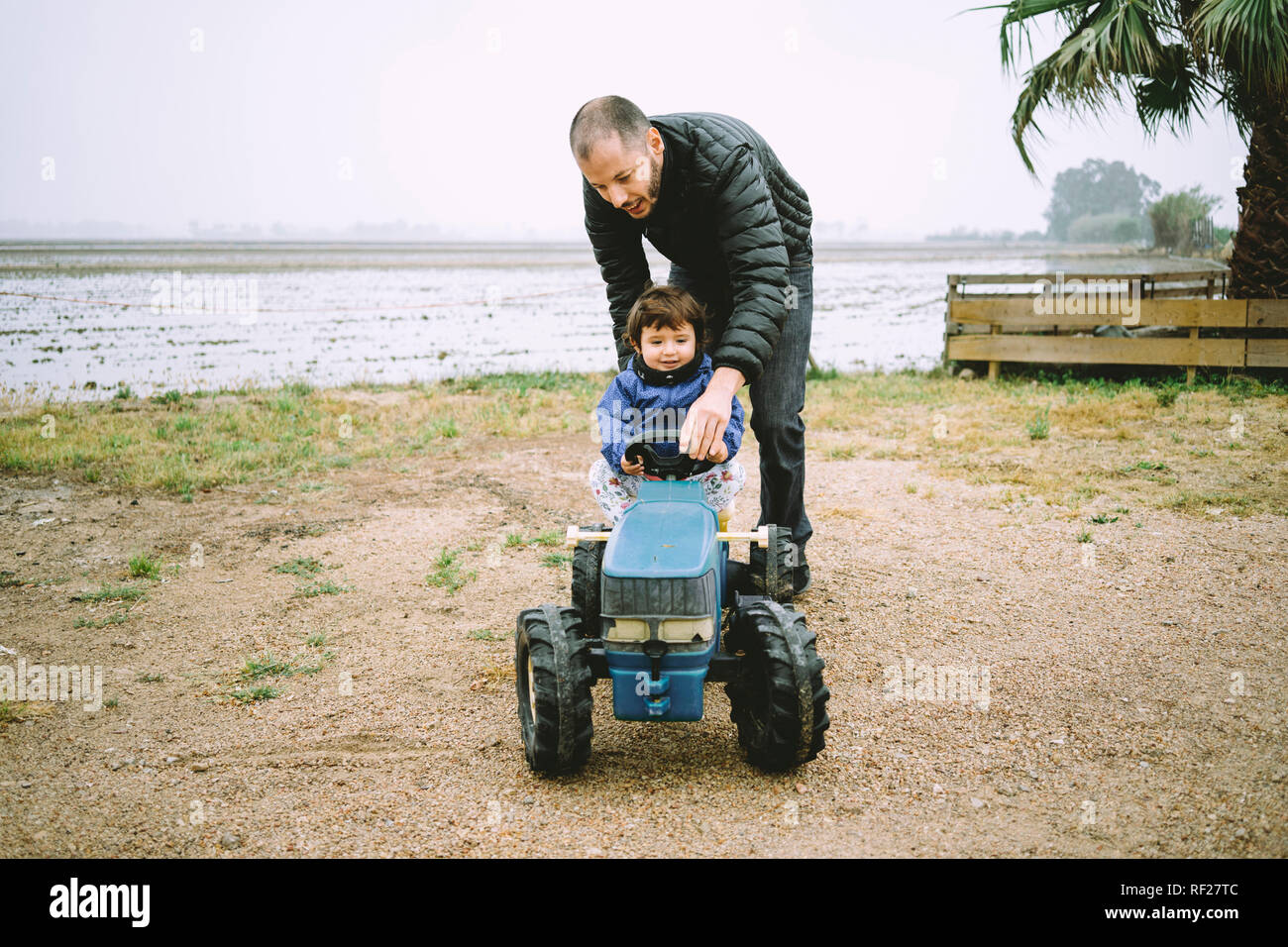 Father helping a baby girl to drive a toy tractor next to the rice ...