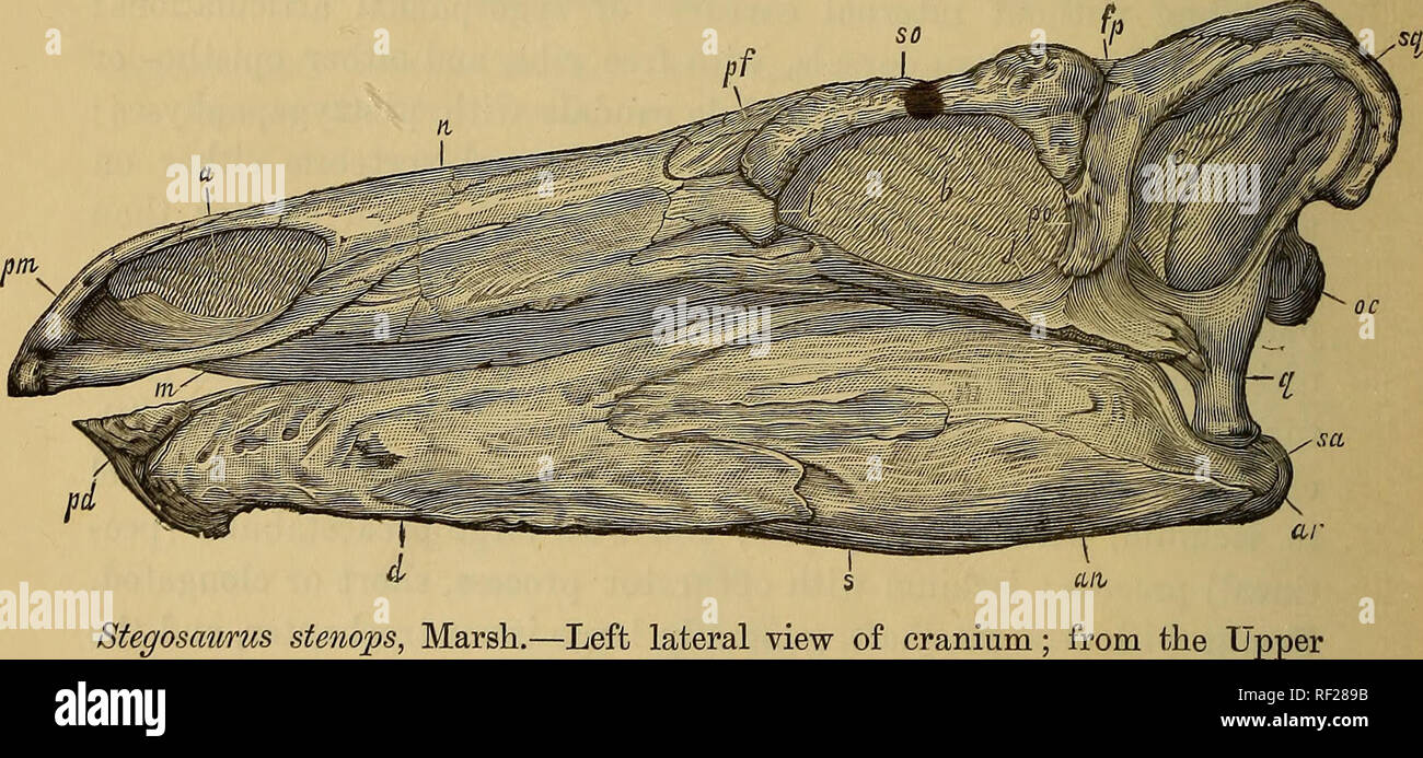 . Catalogue of the fossil Reptilia and Amphibia in the British Museum ...