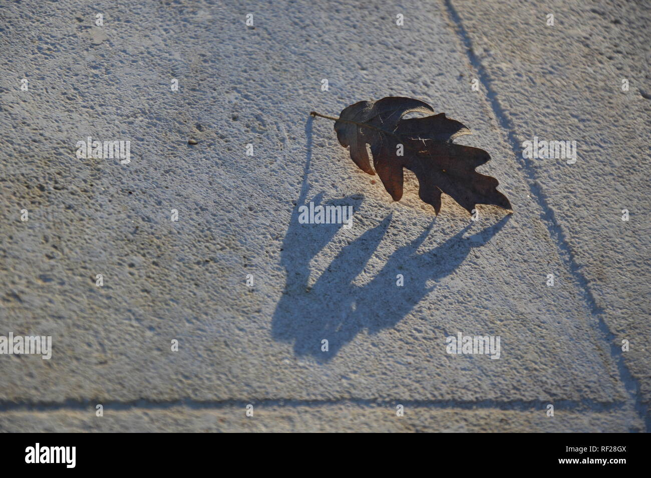 No shadows hi-res stock photography and images - Alamy