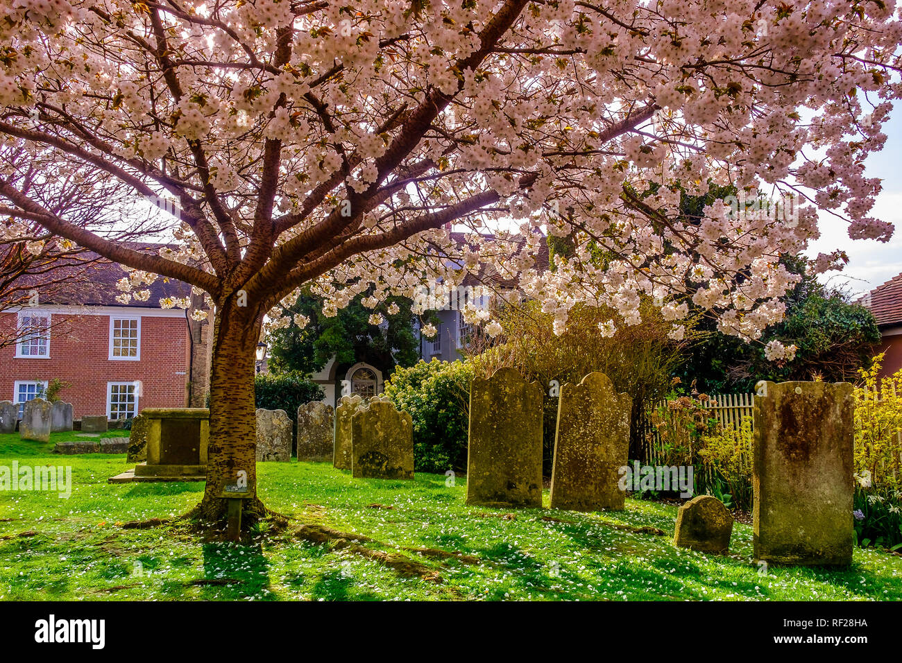 Rye, United Kingdom, April 2018, cemetery in a medieval town of East ...