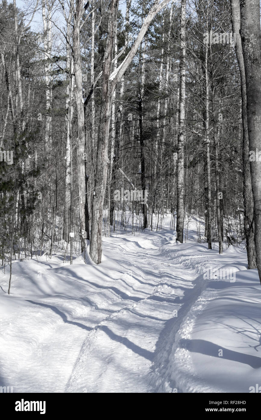 path through fresh snow Stock Photo - Alamy