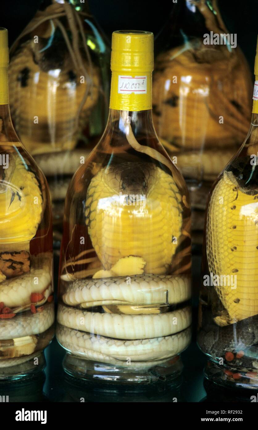 Snake schnapps used as an aphrodisiac, Ho Chi Minh City (Saigon ...