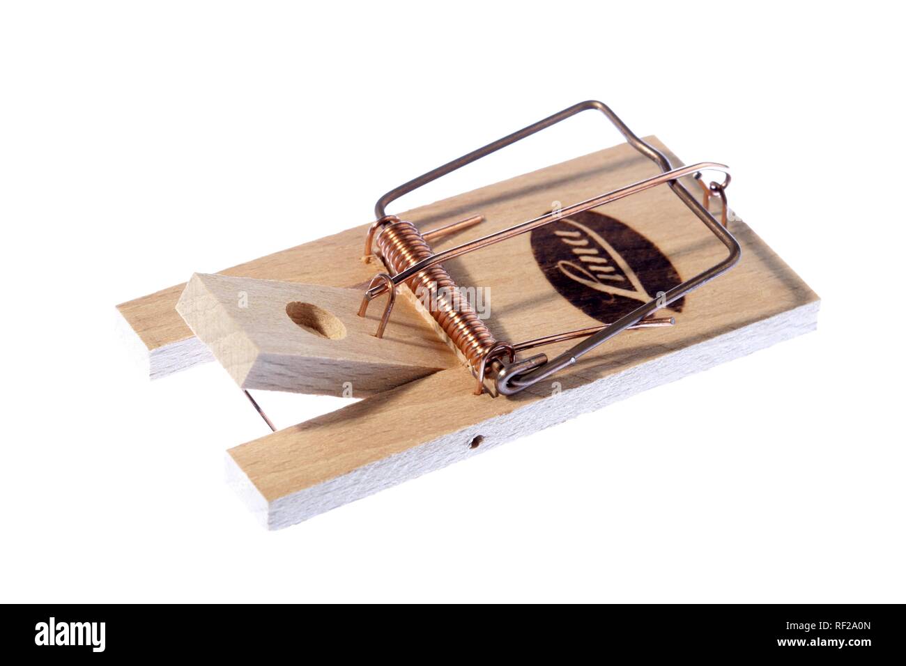 Empty mousetrap hi-res stock photography and images - Alamy