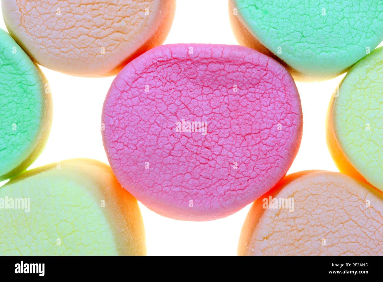 Multicoloured marshmallow sweets, pastel-coloured marshmallows Stock ...