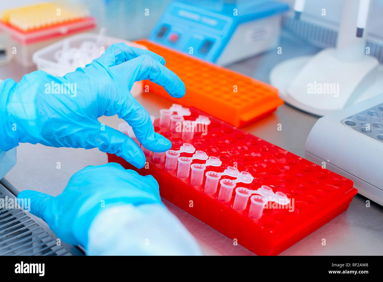 Dna test in the lab. a laboratory technician with a dispenser in his ...