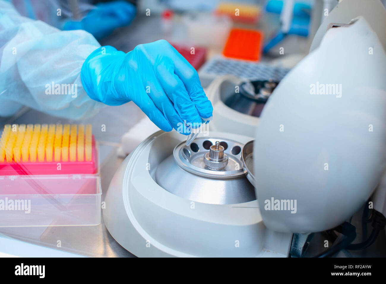 Dna test in the lab. a laboratory technician with a dispenser in his ...