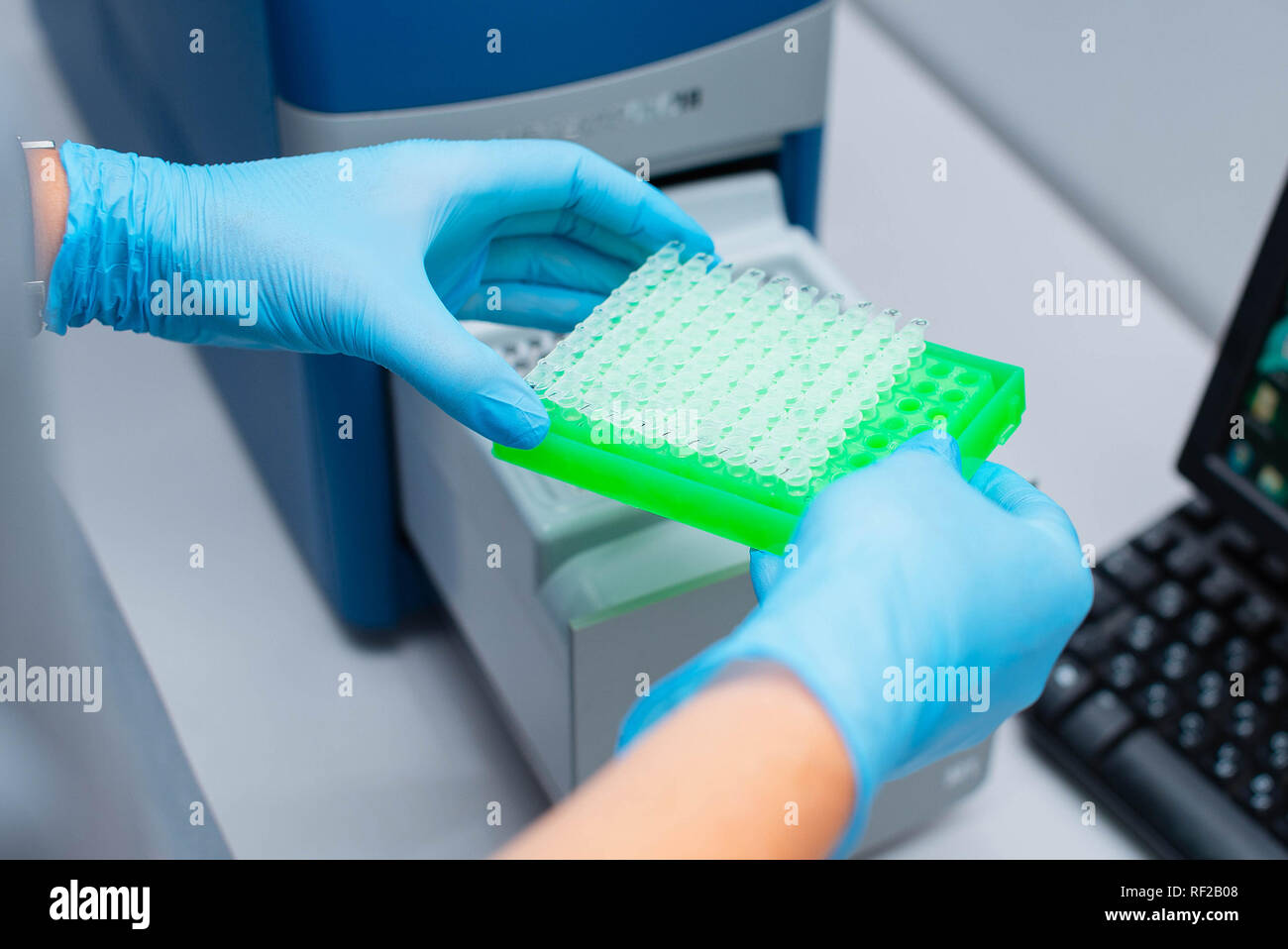 Dna test in the lab. the technician inserts the test tubes into the dna ...