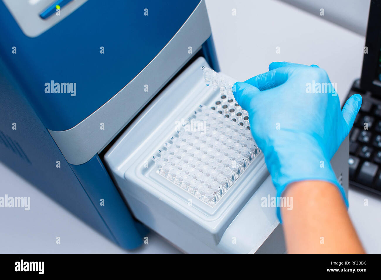 Dna test in the lab. the technician inserts the test tubes into the dna ...