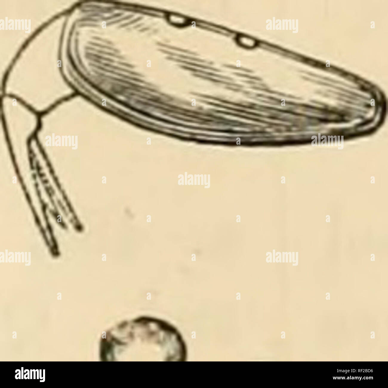 Grapt hi-res stock photography and images - Alamy