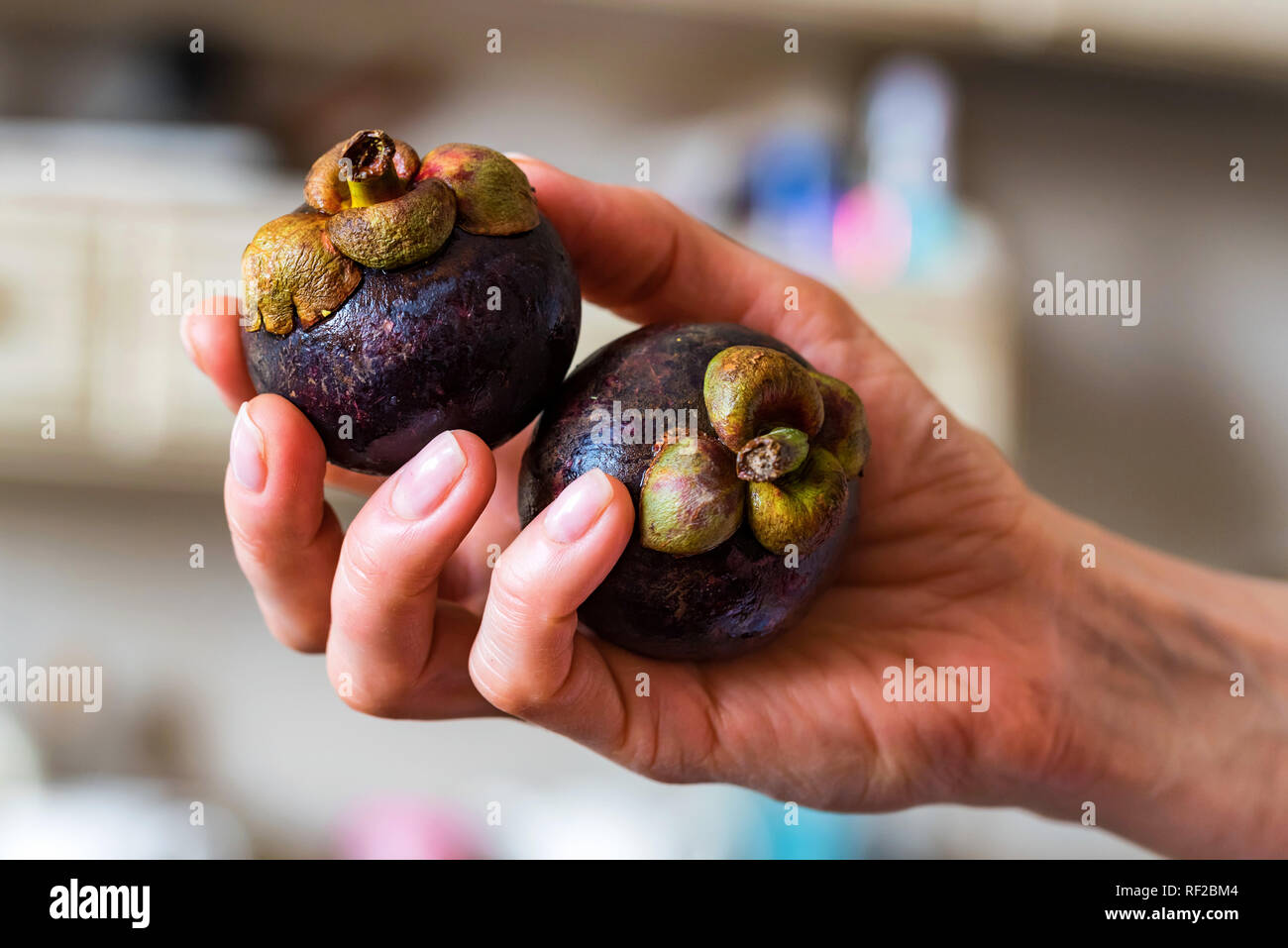 Fresh fruits in womans hands hi-res stock photography and images - Alamy