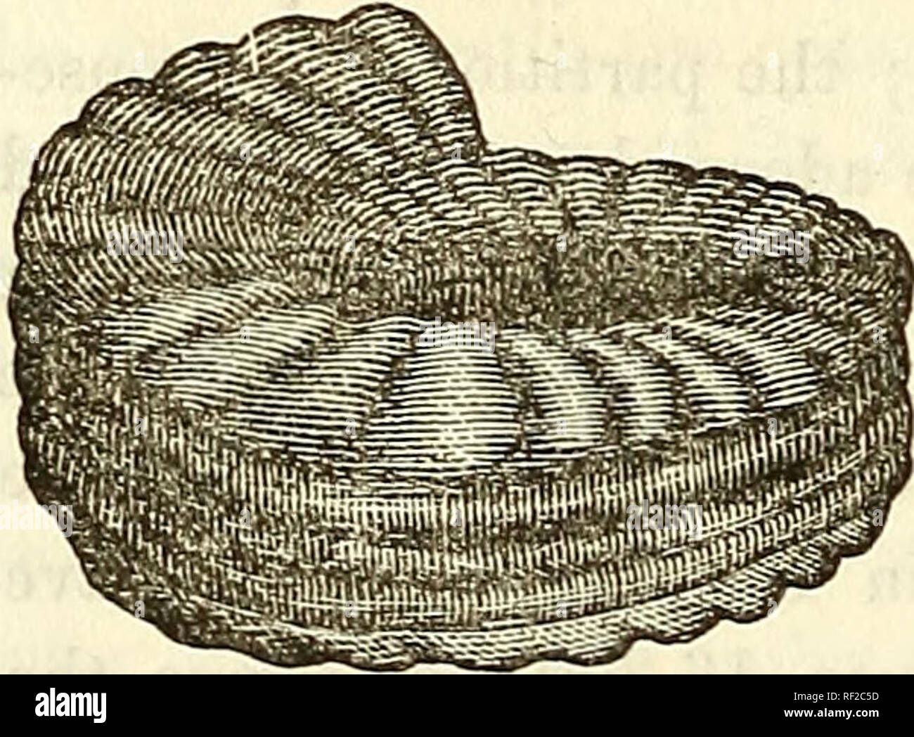 . Catalogue of casts of fossils, from the principal museums of Europe ...