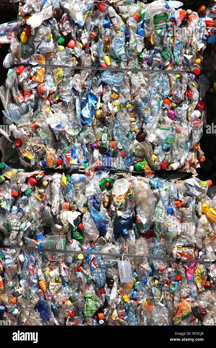 Plastic recycling, PET bottles and plastic rubbish are shredded and ...