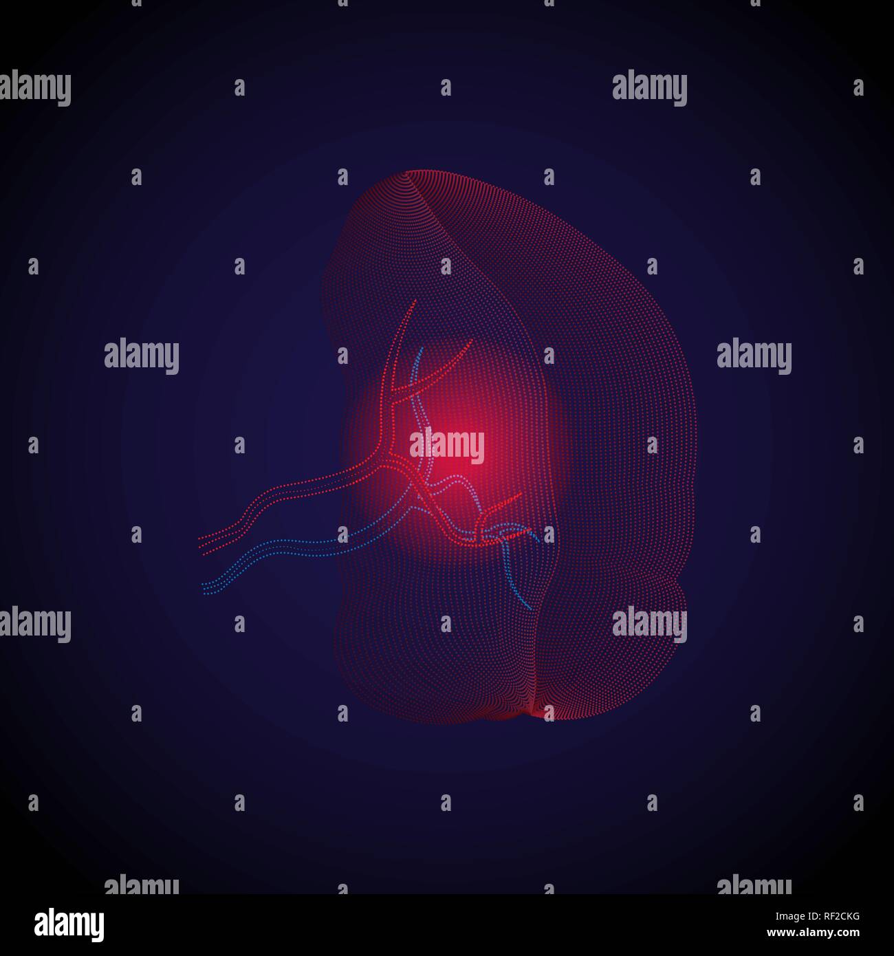 Medical illustration of the points. X-ray effect of spleen disease ...