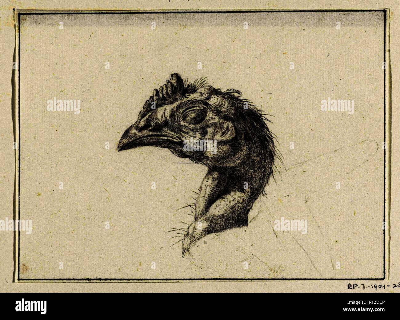 Dead chicken drawing hi-res stock photography and images - Alamy