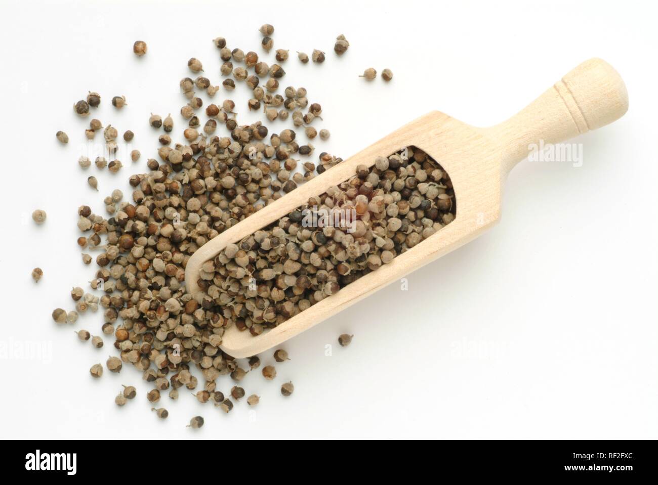 Herbs and seeds cut out hi-res stock photography and images - Alamy