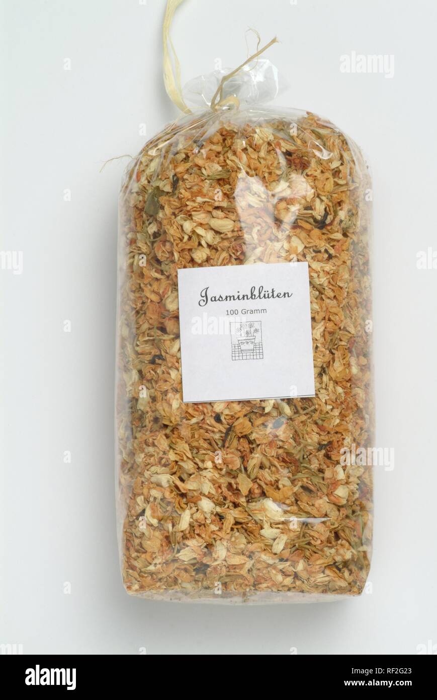 Yellow Jessamine, Evening Trumpetflower or Carolina Jessamine ...