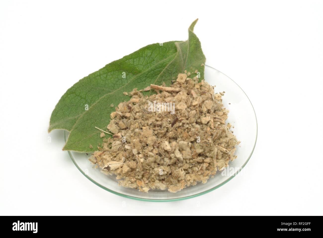 Mullein tea hi-res stock photography and images - Alamy