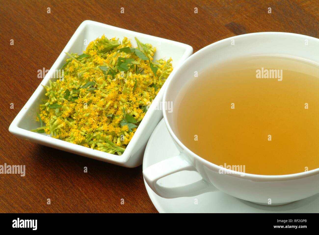 Goldenrod or Woundwort (Solidago virgaurea), herbal tea Stock Photo - Alamy
