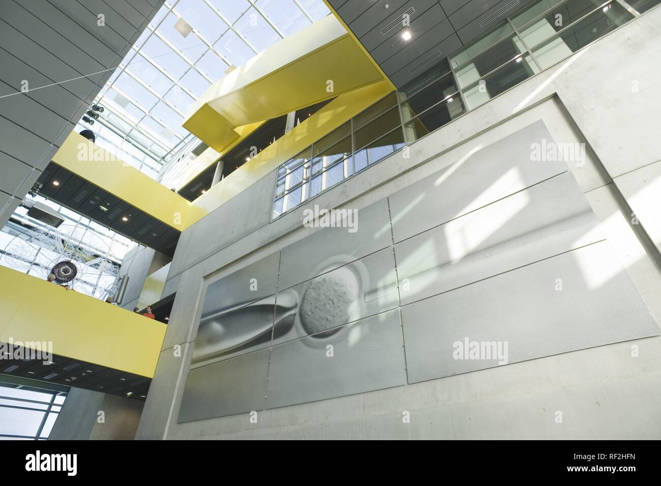 Austria, Linz, Ars Electronica Center, Treusch Architecture ZT GmbH ...