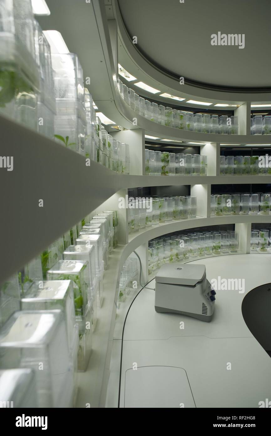 Austria, Linz, Ars Electronica Center, BioLab Stock Photo - Alamy