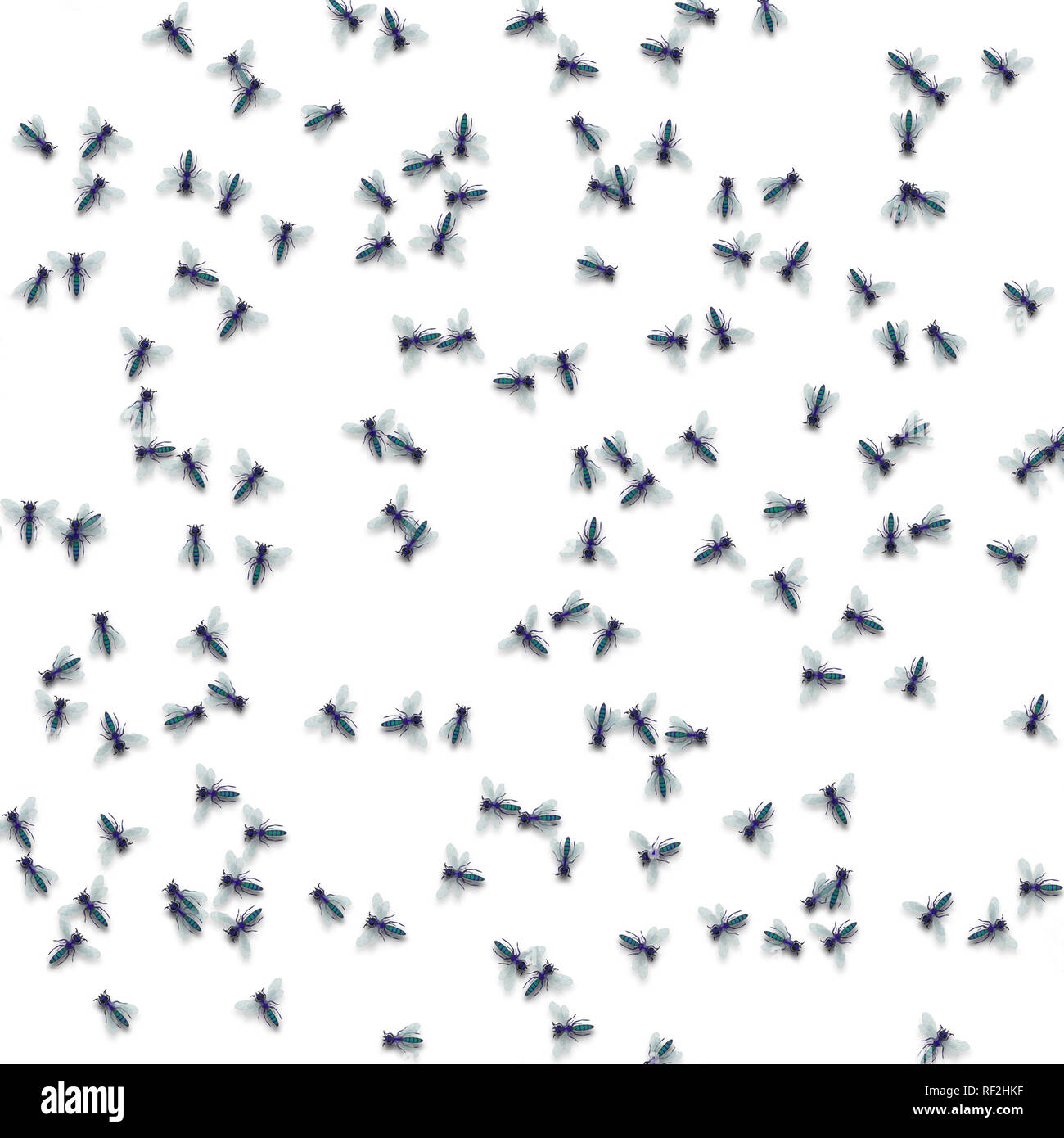 An image of a white background with lots of flies on it Stock Photo - Alamy