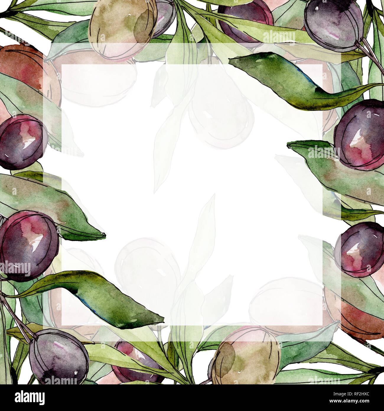 Black olives watercolor background illustration set. Watercolour ...