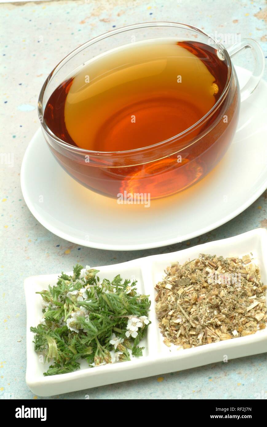 Yarrow (Achillea millefolium), herbal tea, medicinal tea Stock Photo ...